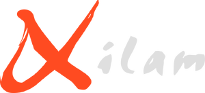 Xilam Animation | Logopedia | Fandom