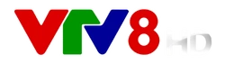 VTV8 | Logopedia | Fandom