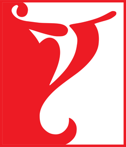 Yash Raj Logo Launch Of YRF Television