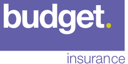 Budget Insurance | Logopedia | Fandom