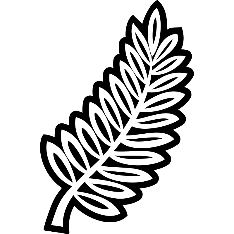 New Zealand national football team | Logopedia | Fandom