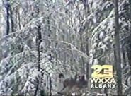 WXXA-TV | Logopedia | Fandom