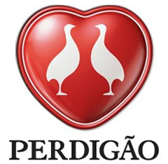 Perdigão | Logopedia | Fandom