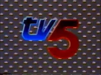 WNEM-TV/Other | Logopedia | Fandom