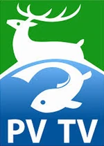 PV TV | Logopedia | Fandom