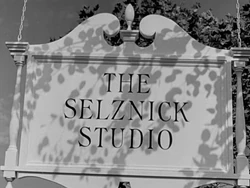 The Selznick Studio | Logopedia | Fandom