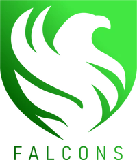 Team Falcons | Logopedia | Fandom