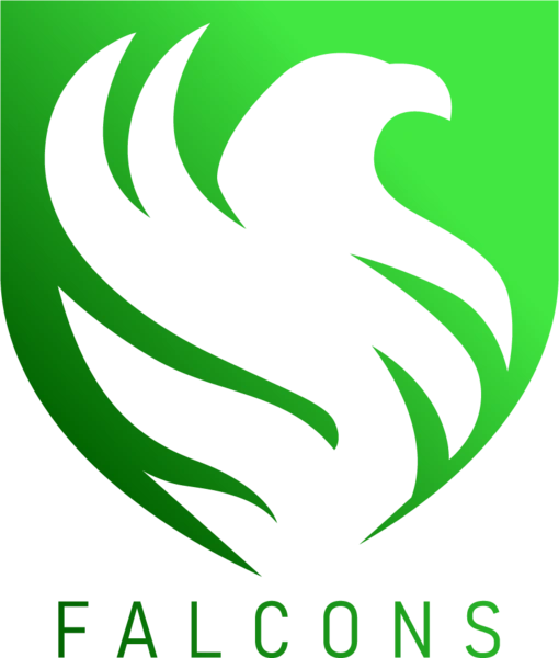 Team Falcons | Logopedia | Fandom