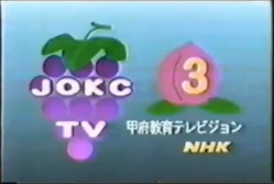 NHK Educational TV Kofu | Logopedia | Fandom