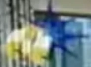 STS (Russia)/Logo Variations | Logopedia | Fandom