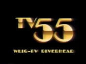 WLNY-TV/Other | Logopedia | Fandom