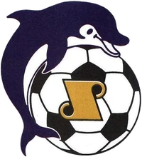 Pohang Steelers | Logopedia | Fandom