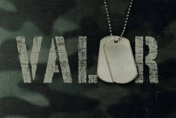 Valor | Logopedia | Fandom