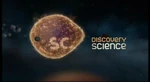 Discovery Science (Europe)/Other | Logopedia | Fandom
