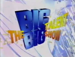 The Big Big Talent Show | Logopedia | Fandom