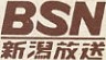 Broadcasting System of Niigata | Logopedia | Fandom