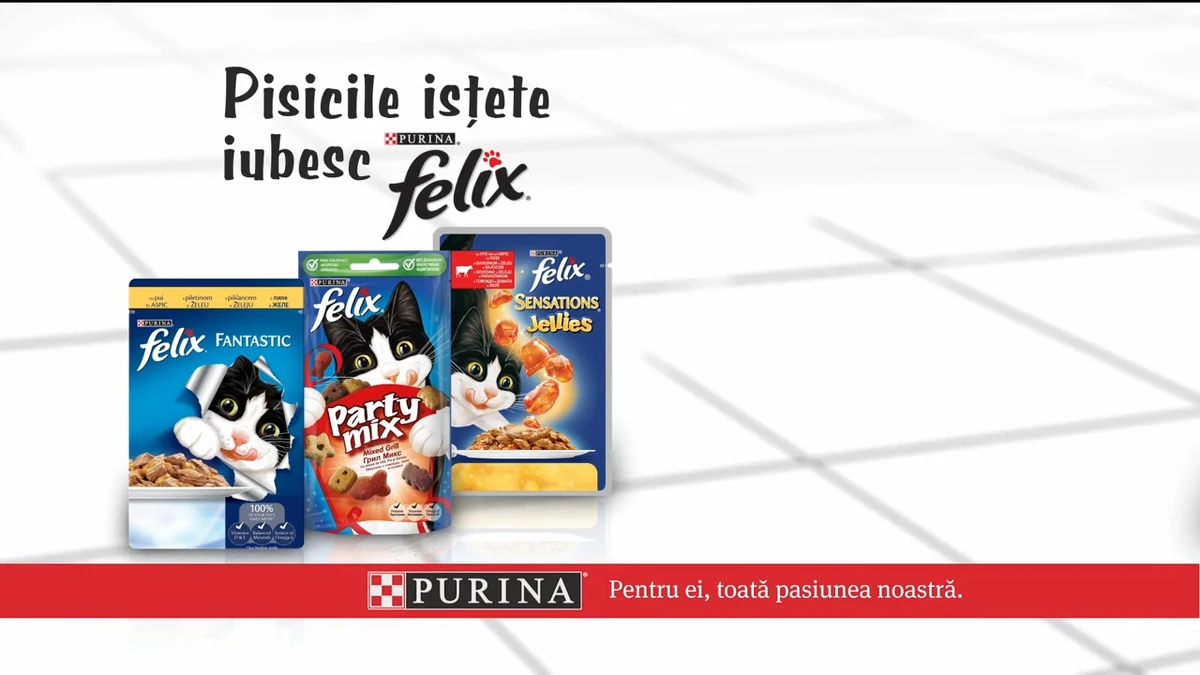 Felix (cat food) | Logopedia | Fandom
