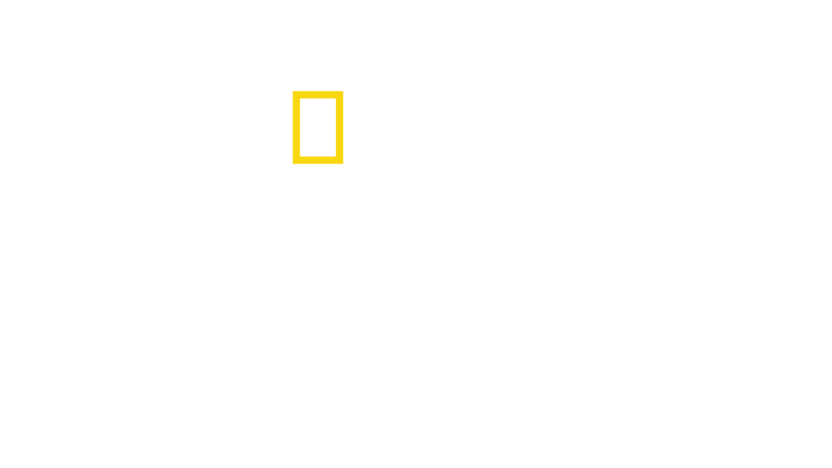 A Small Light | Logopedia | Fandom