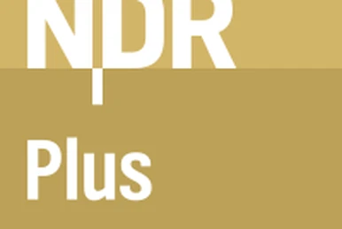 Ndr Info Logo