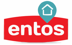 Entos | Logopedia | Fandom