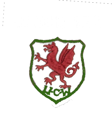 Llanelli RFC | Logopedia | Fandom