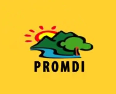 PROMDI | Logopedia | Fandom