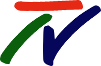 TVN (Poland)/Other | Logopedia | Fandom