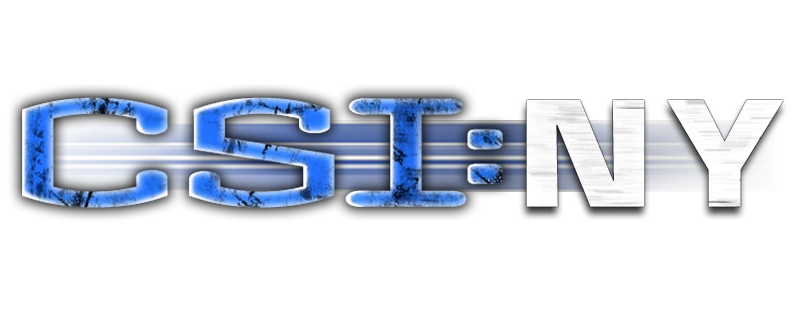 CSI: NY | Logopedia | Fandom