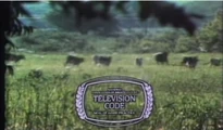 National Association of Broadcasters Television Code/Other | Logopedia ...