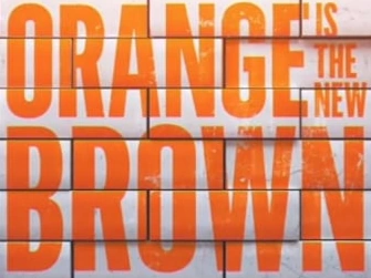 Orange is the New Brown | Logopedia | Fandom