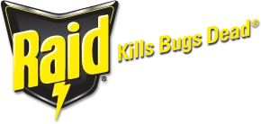 Category:Raid | Logopedia | Fandom