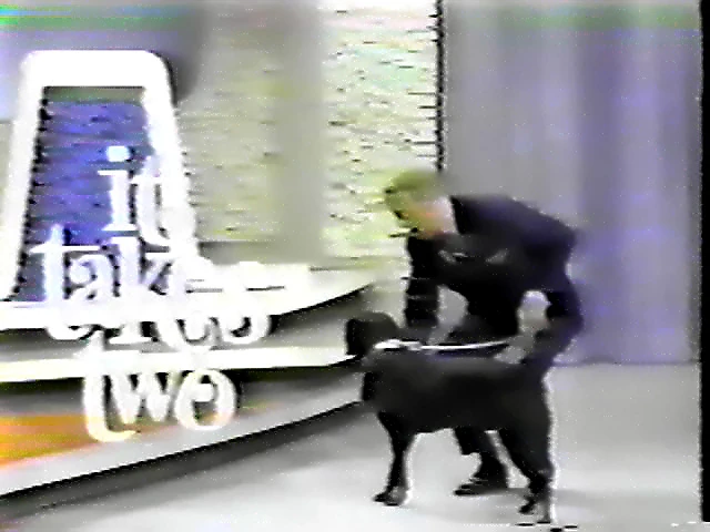 It Takes Two (game show) | Logopedia | Fandom