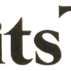 Straits Times Logo