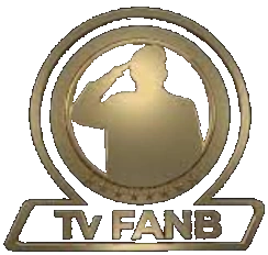 TV FANB (Venezuela) | Logopedia | Fandom