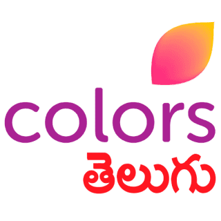 Colors Telugu | Logopedia | Fandom