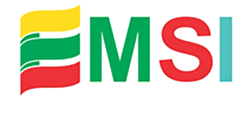 EMSI | Logopedia | Fandom