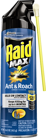 Raid Max | Logopedia | Fandom