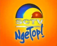 SCTV/Other | Logopedia | Fandom