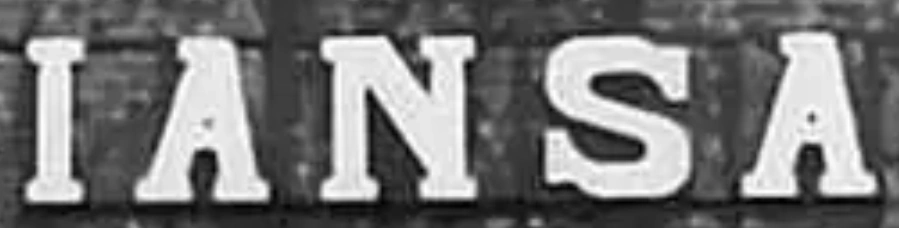 IANSA | Logopedia | Fandom