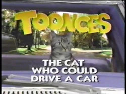 Toonces, the Cat Who Could Drive a Car | Logopedia | Fandom