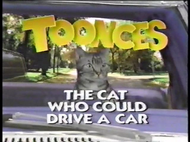 Toonces, the Cat Who Could Drive a Car | Logopedia | Fandom