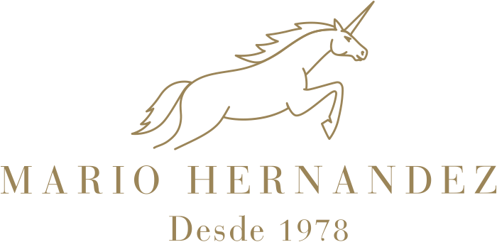 Mario Hernández | Logopedia | Fandom