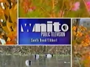 WNIT | Logopedia | Fandom