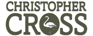 Christopher Cross | Logopedia | Fandom