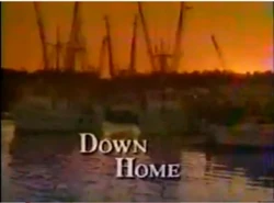 Down Home | Logopedia | Fandom