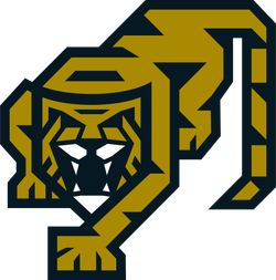 Gen.G Tigers Shanghai | Logopedia | Fandom