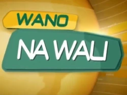 Wano na Wali | Logopedia | Fandom