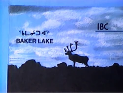 Inuit Broadcasting Corporation | Logopedia | Fandom