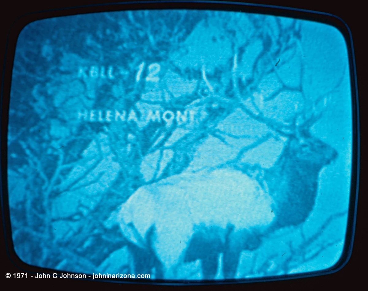 KTVH-DT | Logopedia | Fandom