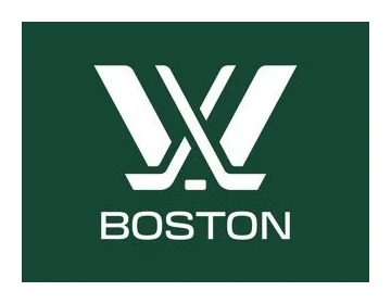 Boston Fleet | Logopedia | Fandom